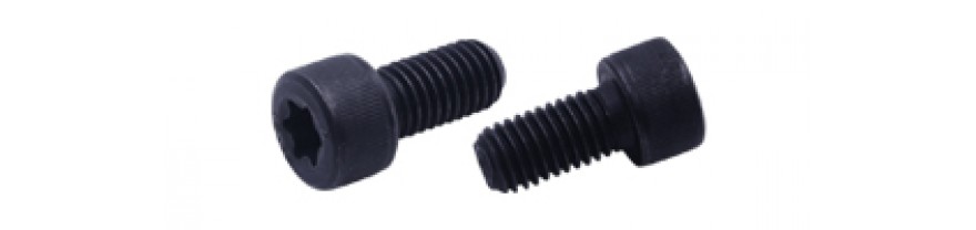 Baut Torx / Torx Cap Screw