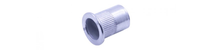Mur Rivet / Rivet Nut