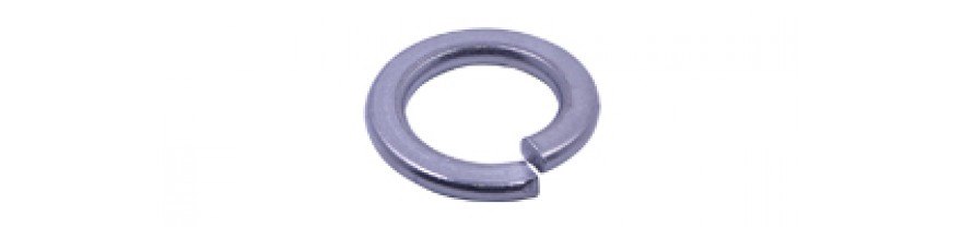 Ring Per / Spring Washer