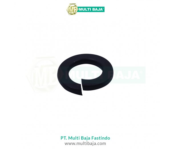 Baja Ring Per L (Spring Washer)