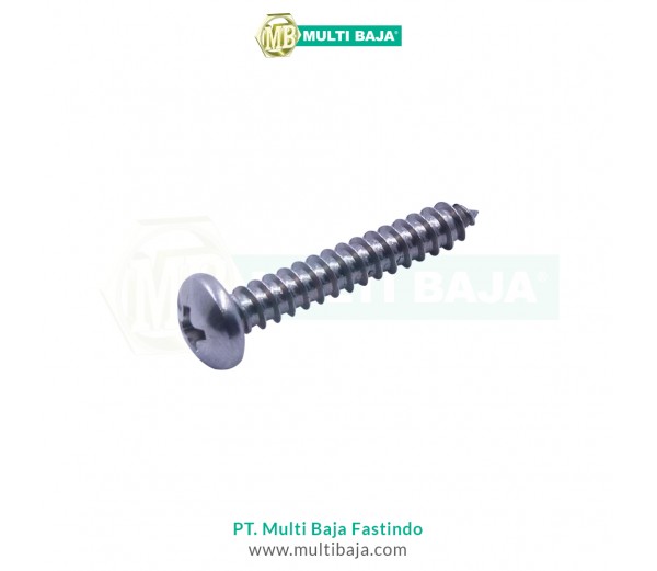 Besi PH Pan Head Tapping Screw