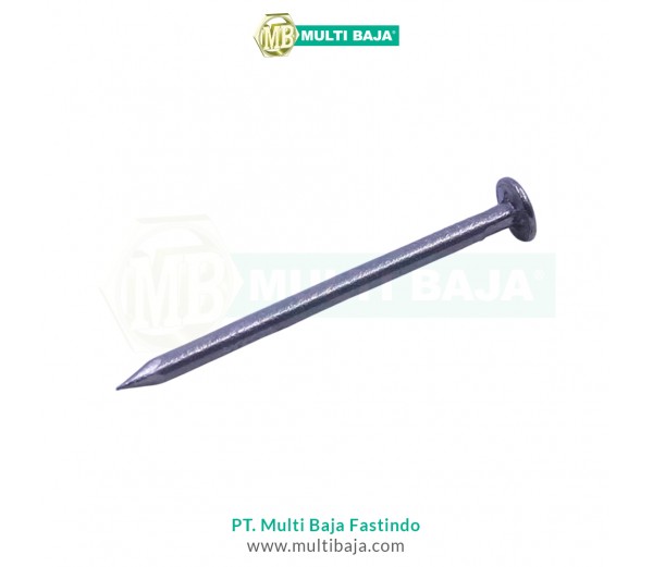 Paku Kayu Batraja Hanoman