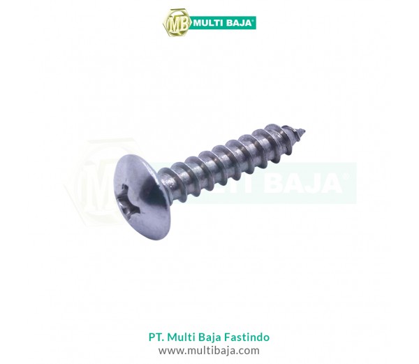 Besi TAB Truss Head Tapping Screw
