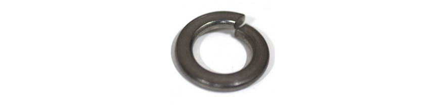 Ring Per / Spring Washer