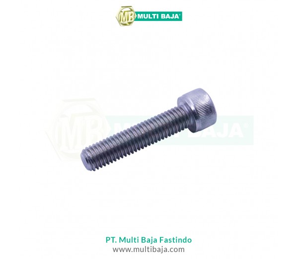 SUS 304 Baut L (Socket Cap Screw) Inch