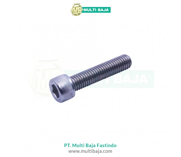 SUS 304 Baut L (Socket Cap Screw) Metric
