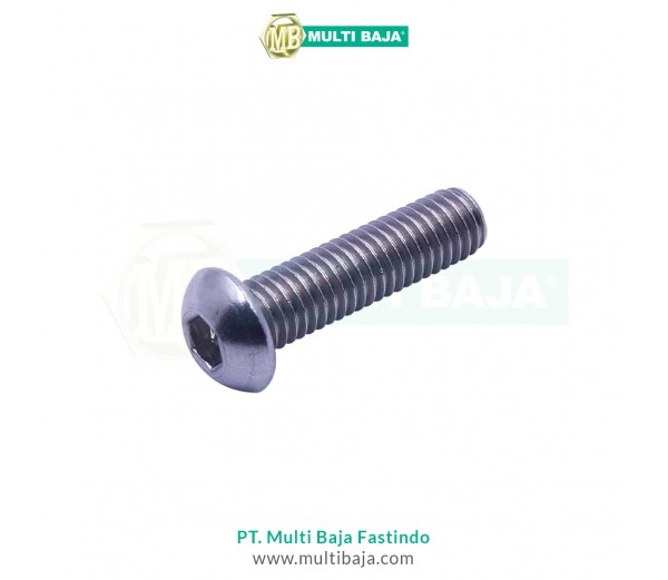 SUS 304 Button Head L Socket Screw