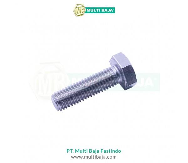 SUS 304 Hex Bolt Metric