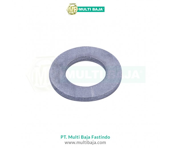 SUS 304 Ring Plat (Flat Washer)