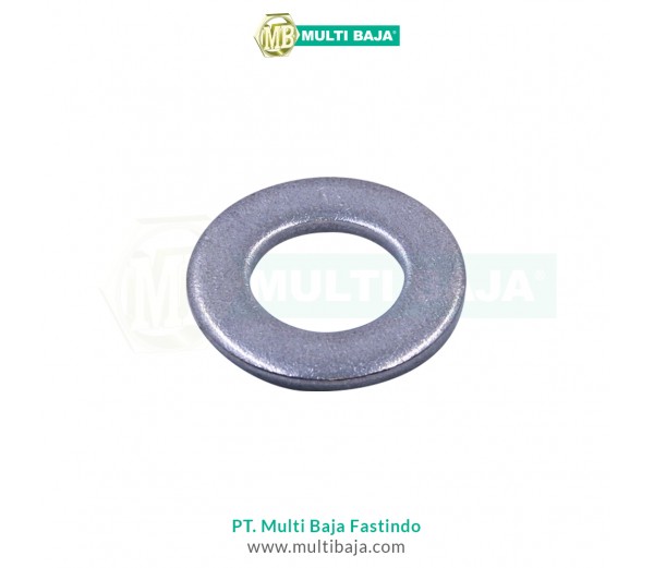 SUS 304 Ring Plat (Flat Washer)