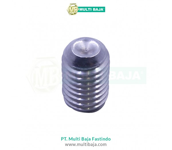 SUS 304 Socket Set Screw (Inch) / Baut Tanam