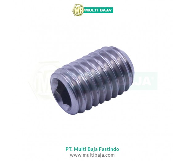SUS 304 Socket Set Screw (Inch) / Baut Tanam
