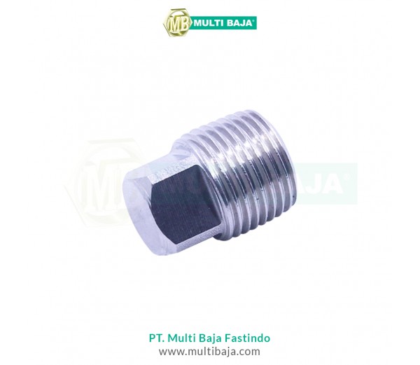 SUS 304 Square Pressure Plug DIN906