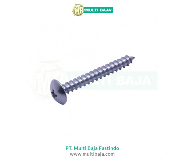 SUS 304 TAB Tapping Screw
