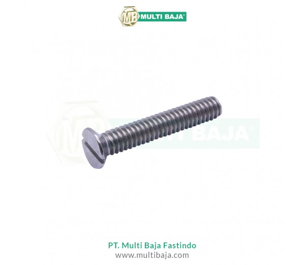 SUS 304 Verseng L Obeng Minus DIN963