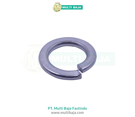 SUS 316 Ring Per (Spring Washer) Metric