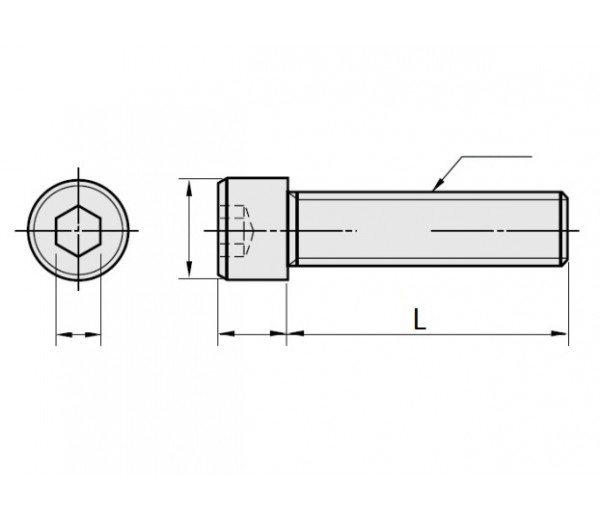 SUS 316 Baut L (Socket Cap Screw)