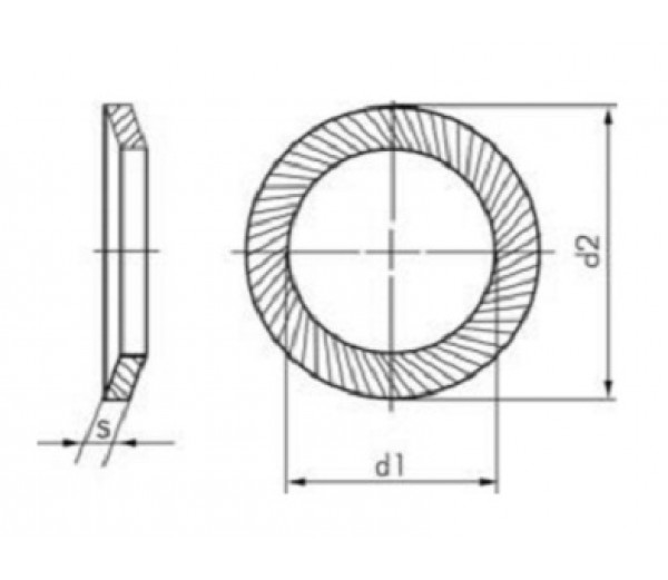 Baja Disc Washer DIN2093