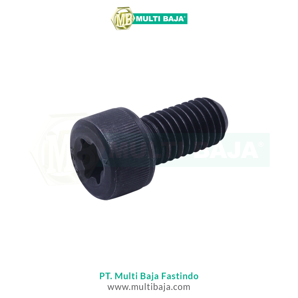Baut Torx / Torx Cap Screw