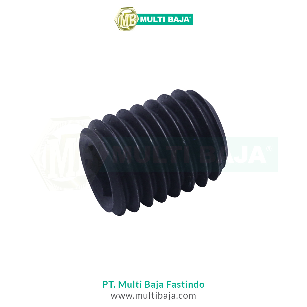 SUS 304 Socket Set Screw (Inch) / Baut Tanam