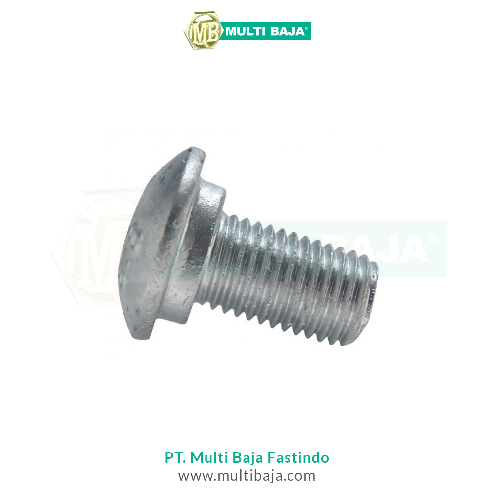 Bolts and Screws
