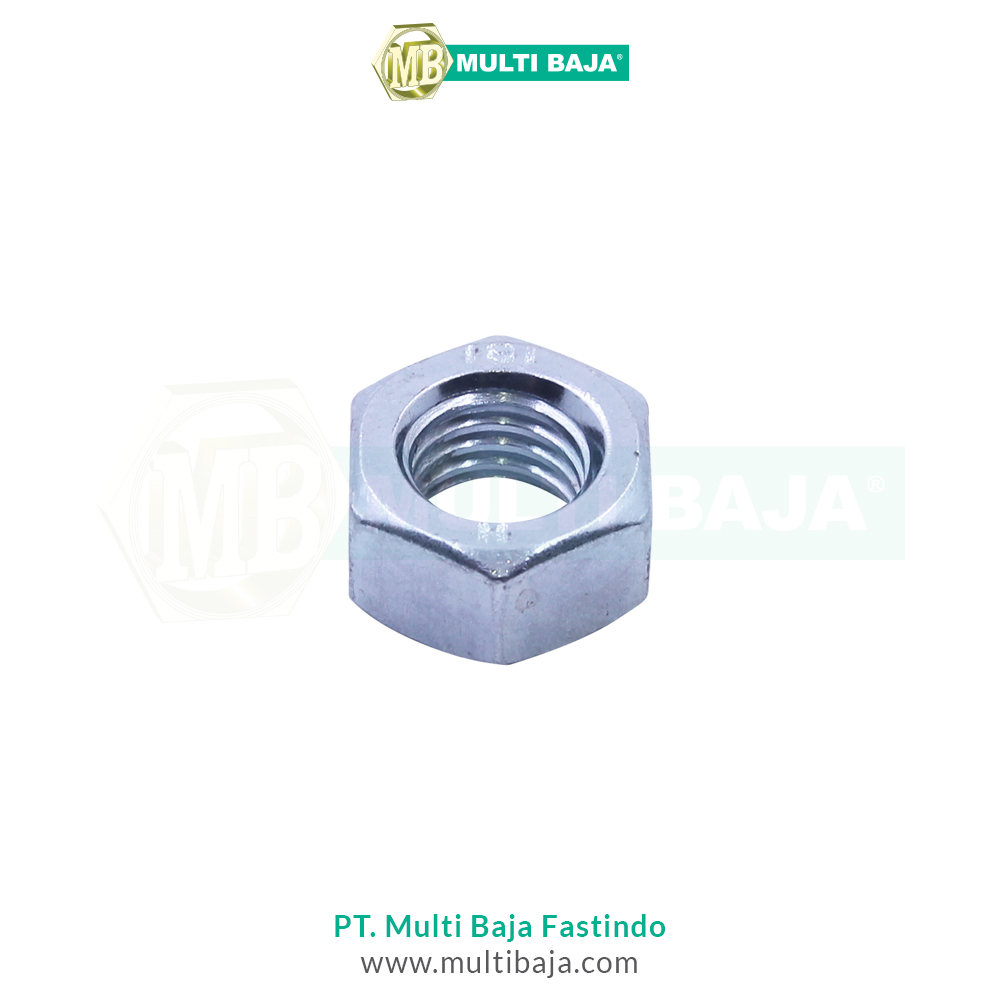 Hex Nut
