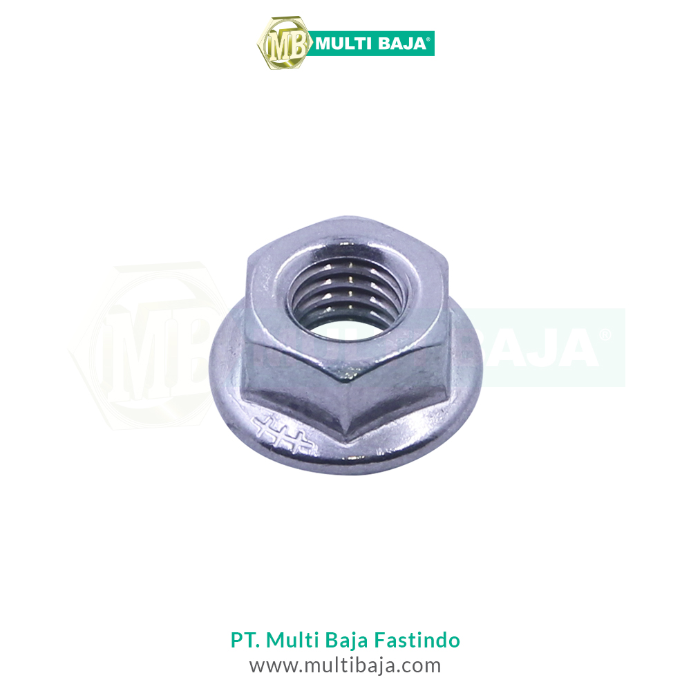Mur Flange / Flange Nut
