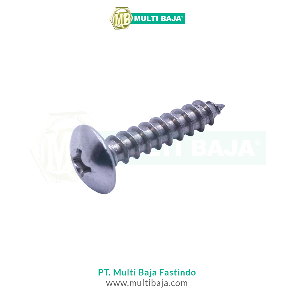 Baut TAB / Truss Head Tapping Screw