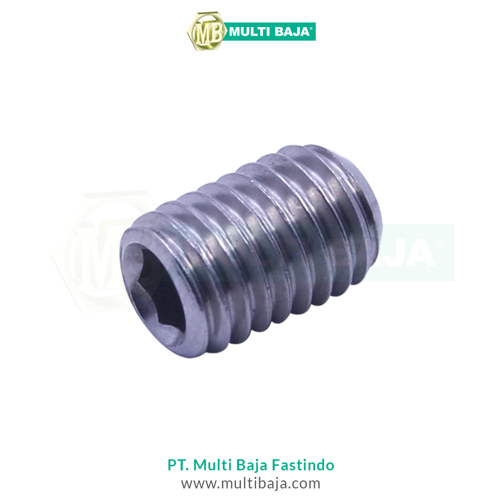 Baut Tanam / Socket Set Screw